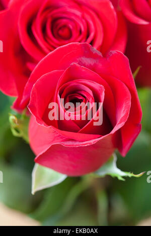 Head with full of love, red background and hearts Stock Photo - Alamy