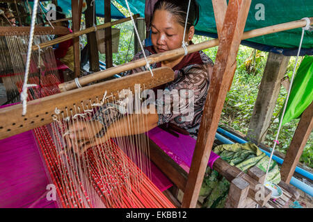 Woman at village silk loom weaving Assam Muga natural undyed silk in ...