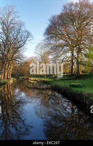 Bute Park in early Spring, with Magnolia Trees blossoming. Bute Park is ...