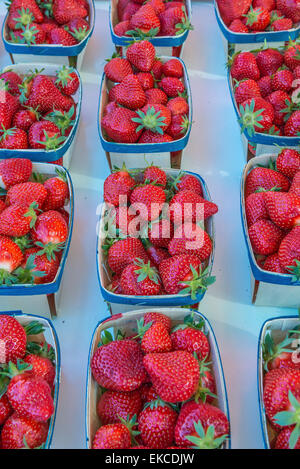 Red juicy strawberries laid out on a white background aesthetically ...