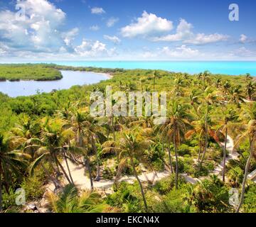 Aerial view of mexican Contoy tropical island Stock Photo - Alamy