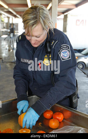 ATSCC Arizona CBP Operations, to include aerials of CBP locations ...