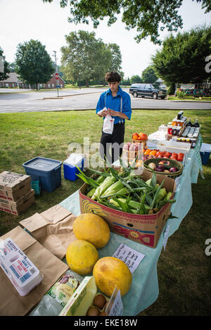 Farm fresh vegetable sales Stock Photo - Alamy