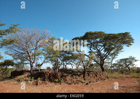 Ziwa Ruins Zimbabwe Stock Photo - Alamy
