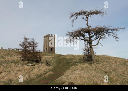 Kinpurney Tower, Newtyle, Angus, Scotland, UK Stock Photo - Alamy