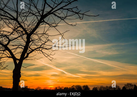Silhouette Landscape photograph of Byron park in Harrow, London Stock ...