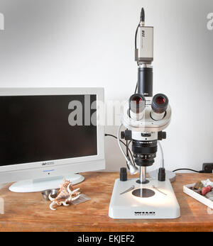 Wild Heerbrugg Leica M420 macroscope microscope with camera 5:1 macro ...