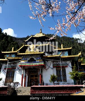 Lhasa. 27th Mar, 2015. Photo taken on March 27, 2015 shows a view of ...