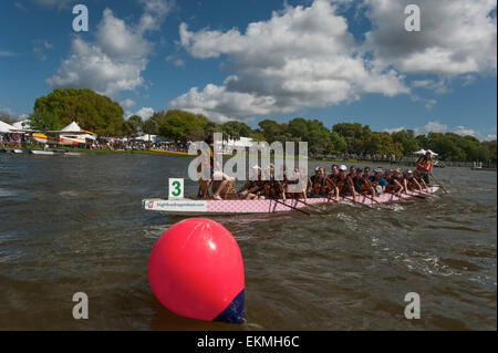 Dragon Boat Racing at a local event in Tavares, Florida USA Stock Photo ...