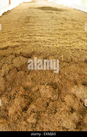 Freshly grinded tea leaves ready for packaging, Sabah Tea Plantation ...
