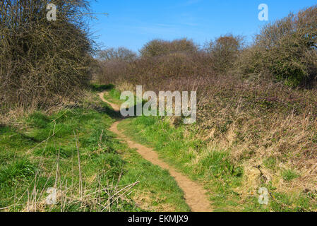 Sand dunes, Berrow Beach, Somerset, England Stock Photo - Alamy