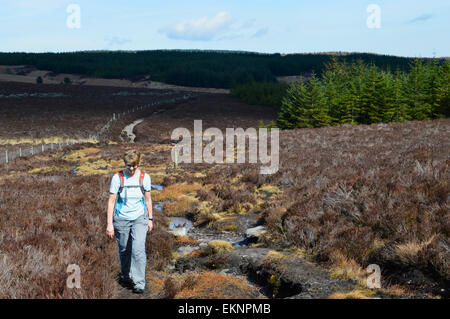 Walker on Coe Crags in Thrunton, Northumberland Stock Photo - Alamy