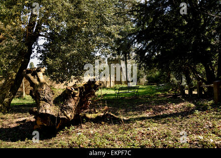 A castle battlement part of the garden folly Stock Photo - Alamy