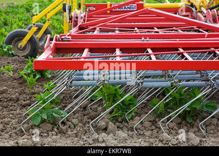 Spring Tine Harrow Stock Photo - Alamy