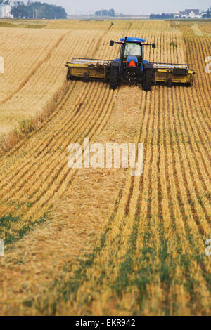 A swather in a wheat field cutting down the field, South of Strathmore ...