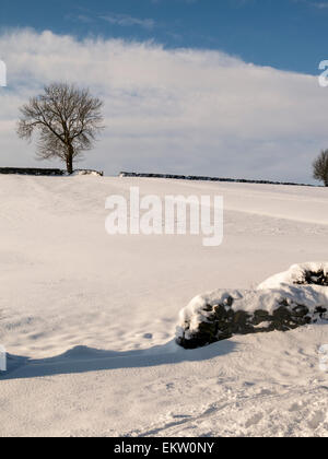 snow,near Matlock,Derbyshire,Britain (December 2014 Stock Photo - Alamy
