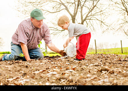 Father teaching his son gardening. Son helping his father to plant the ...