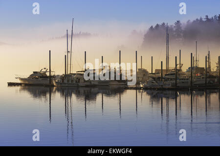 Fog lifting over Auke Bay Harbor, Juneau, Southeast Alaska Stock Photo ...