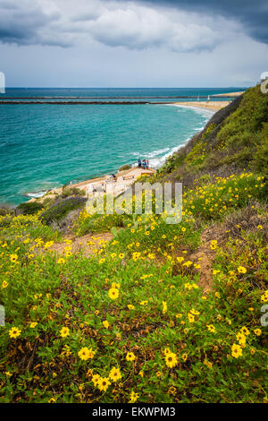 Inspiration Point in Corona del Mar overlooks the beautiful blue ...