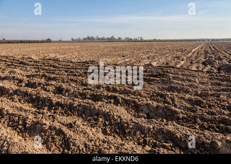 Fallow crop field outside of Fresno. Three years of severe drought ...