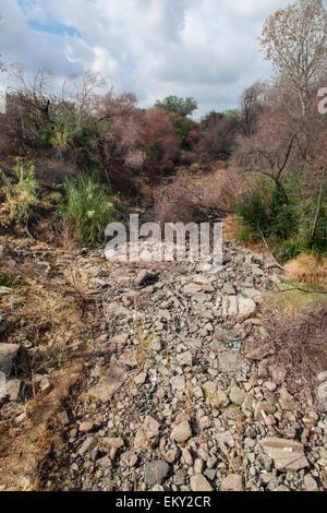 Lake Success is a reservoir and dam along the Tule River and provides ...