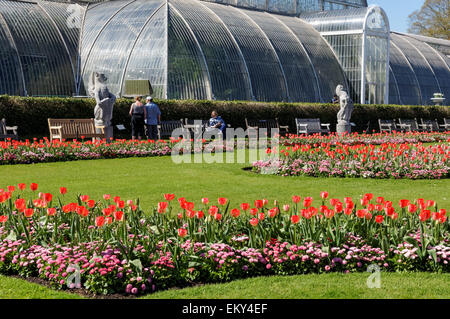 Palm House and tulips, Royal Botanic Gardens, UNESCO World Heritage ...