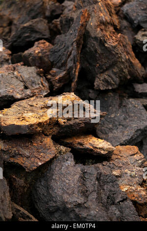 Field peat cutting Stock Photo - Alamy