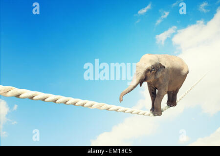 Image of elephant walking on rope high in sky Stock Photo - Alamy