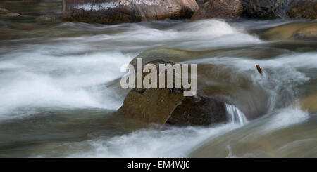 Stream flowing through rocks, Whistler, British Columbia, Canada Stock ...