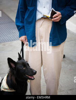 cropped image of man standing in brown shirt isolated on blue Stock ...