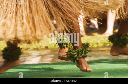 Hawaii, Oahu, Close-Up Of Hula Dancer Shaking Her Hips Stock Photo - Alamy