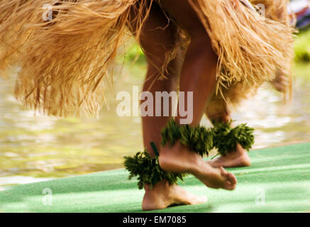 Hawaii, Oahu, Closeup Of A Local Hawaiian Female Wearing A Haku Smiling ...