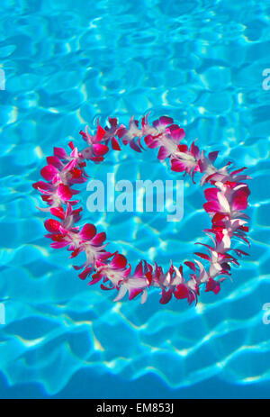 Close-Up Of An Orchid Lei In Pool With Reflections Stock Photo - Alamy