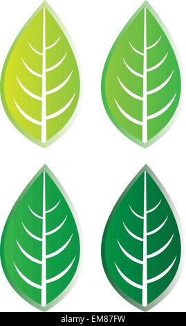 leaves icon over white background vector illustration Stock Vector ...