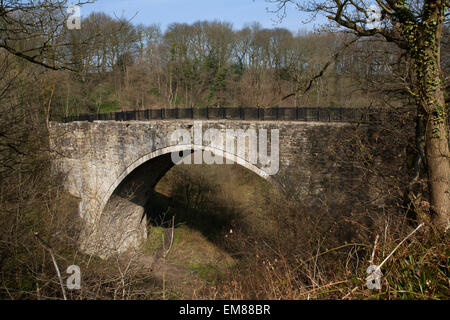 The Causey Arch, the oldest surviving railway bridge in the world. Near ...