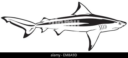 Bull Shark Vector Illustration Stock Vector Image & Art - Alamy