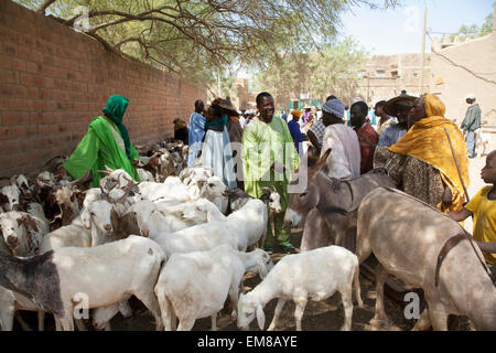 Livestock for sale at Monday Market in Djenne, Mali Stock Photo ...