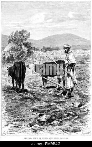 agriculture, ploughing, farmer with plough, drawing after medieval ...