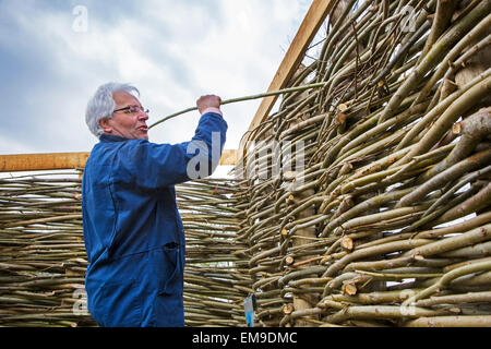 Craftsman making traditional wattle fence by weaving thin willow ...