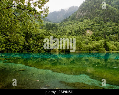 Five Flower Lake in Jiuzhaigou, China Stock Photo - Alamy
