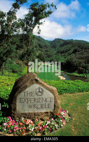 Hawaii, Lanai, Koele Golf Course, Lake And Pine Trees On The Golf ...