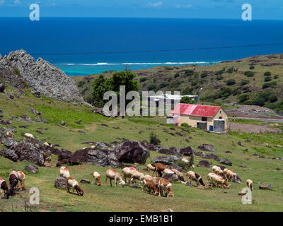 Mauritius, Rodrigues island, Pointe Coton beach Stock Photo - Alamy