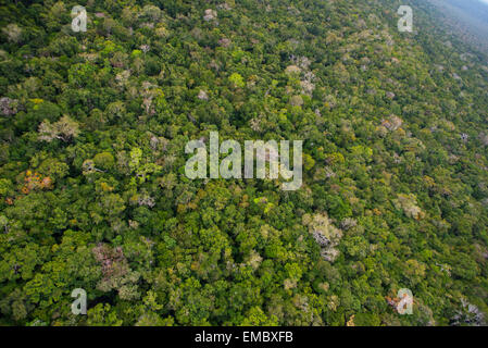 Aerial view of Guatemala's Maya Biosphere Reserve Stock Photo - Alamy