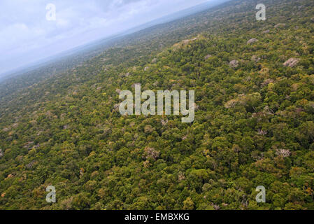 Aerial view of Guatemala's Maya Biosphere Reserve Stock Photo - Alamy