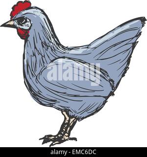Hand Drawn Sketch Chicken Hen Vector illustration Hand Drawn Sketch ...