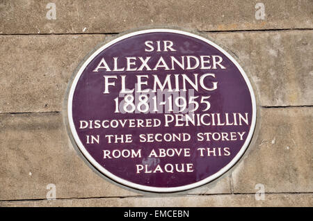Sir Alexander Fleming Plaque at St. Mary's Hospital in London. The ...