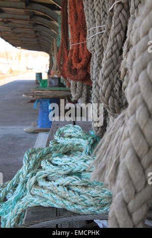 newlyn pier or quayside in summer with various marine items Stock Photo ...