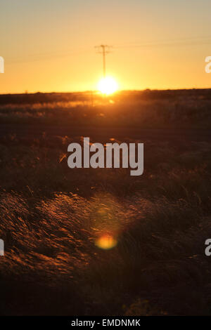 Sunrise with grass and telephone pole Stock Photo - Alamy