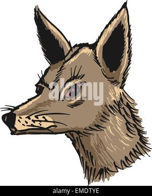 Illustration of a jackal Stock Vector Image & Art - Alamy