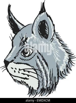 Lynx face hand drawn sketch Vector illustration Wild animals Stock ...